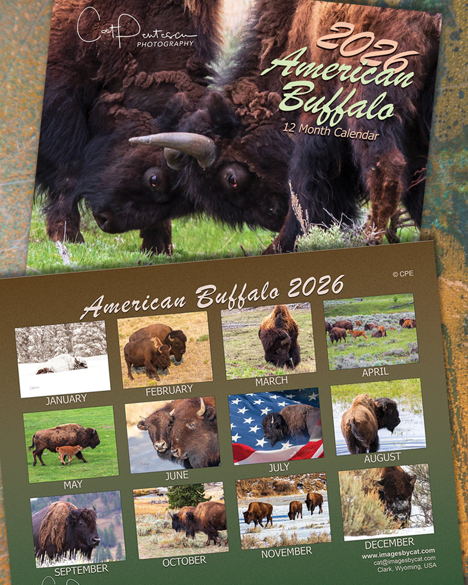 2026 AMERICAN BUFFALO CALENDAR – Cat Pentescu Photography