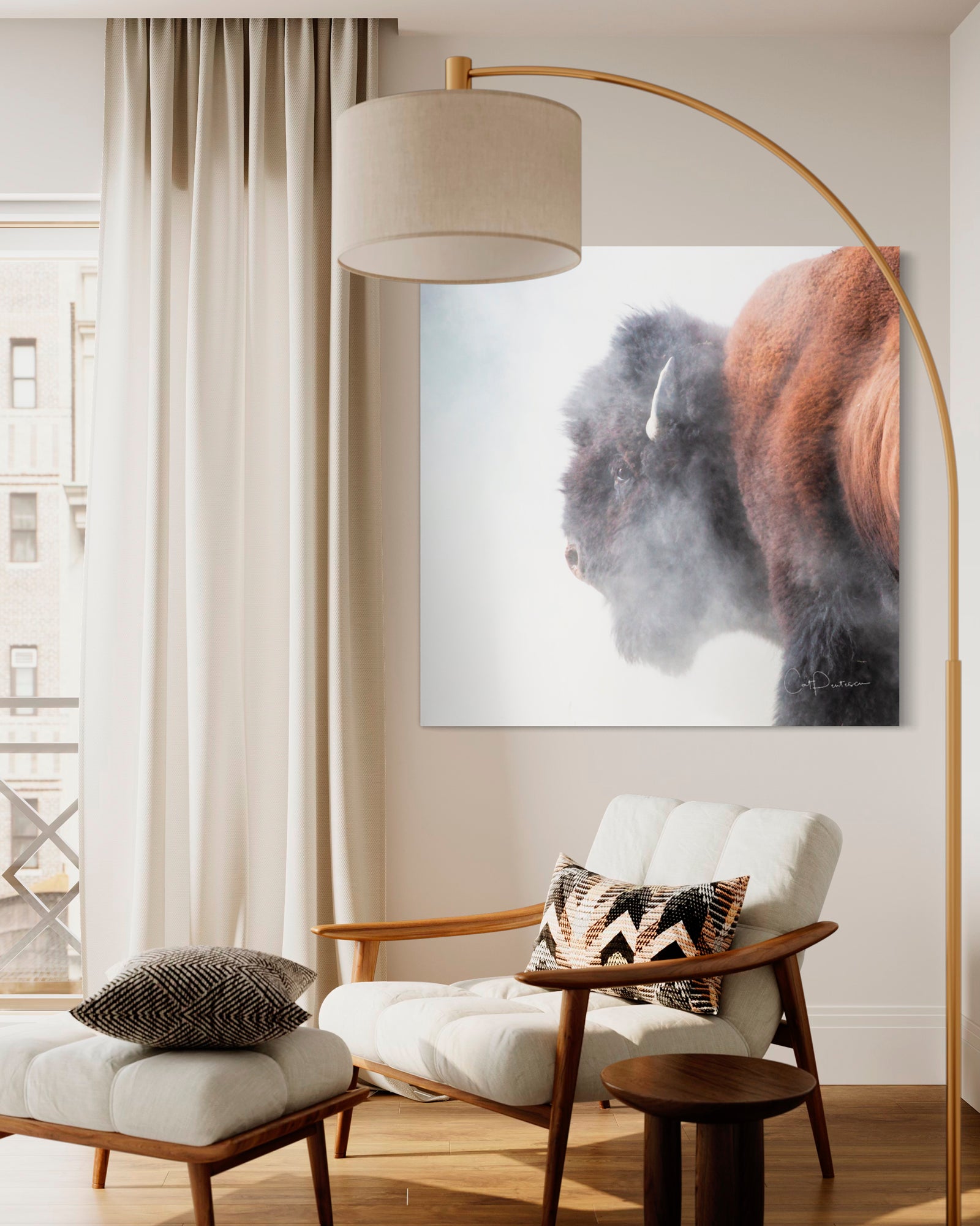 BUFFALO LORE – Cat Pentescu Photography