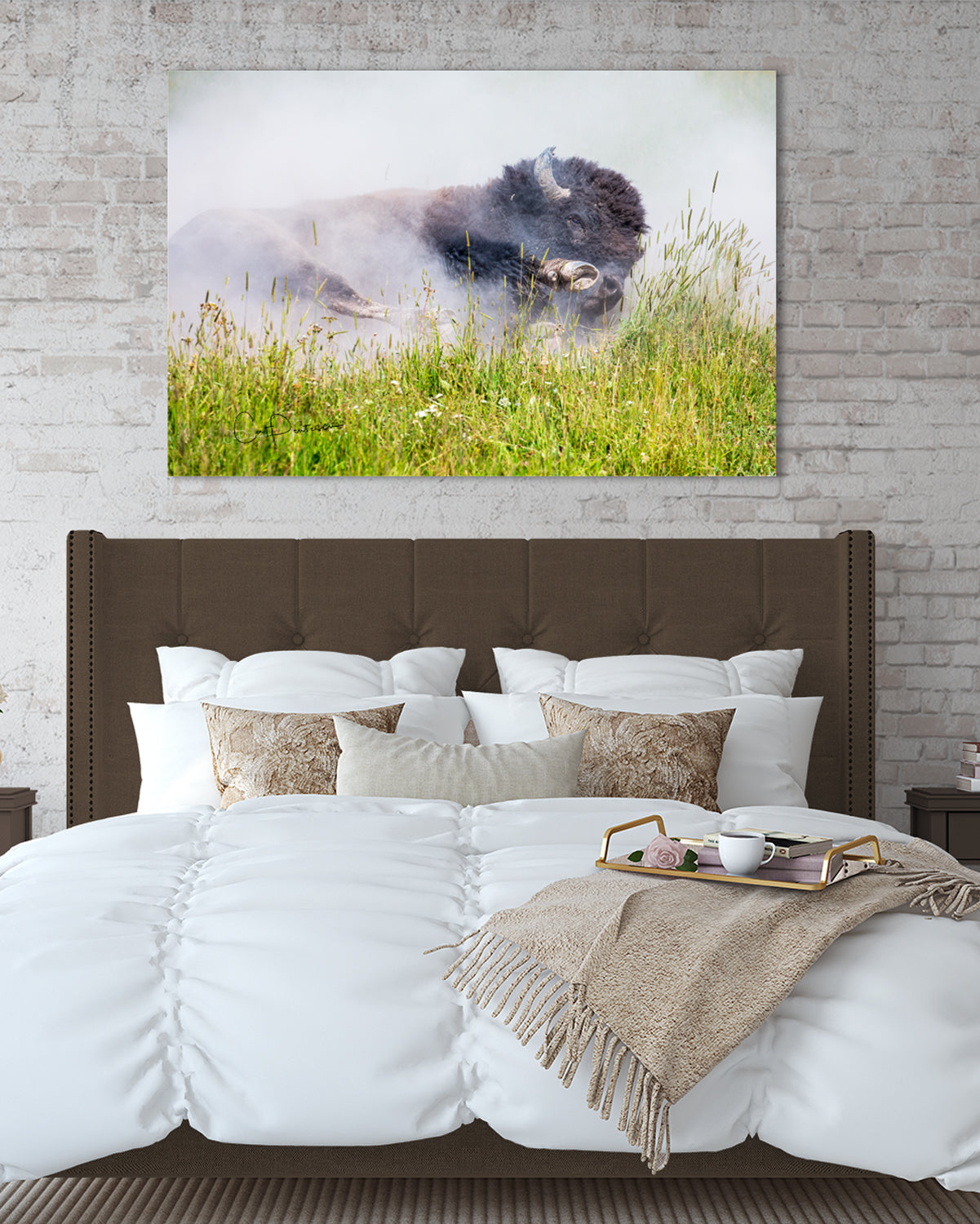 BUFFALO ROLL – Cat Pentescu Photography