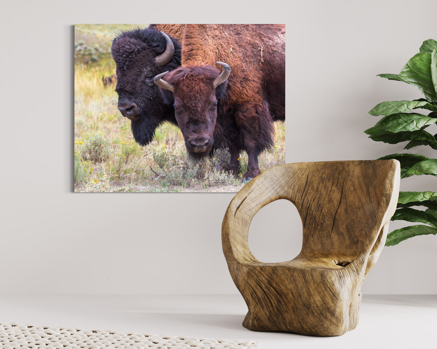 HAPPY COUPLE – Cat Pentescu Photography