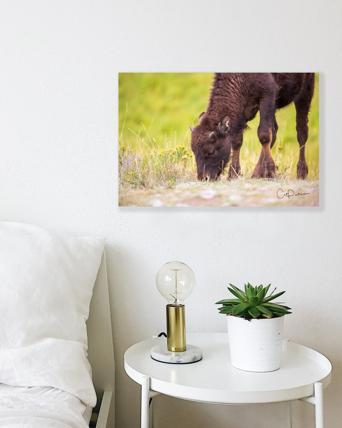 Cat Pentescu Photography