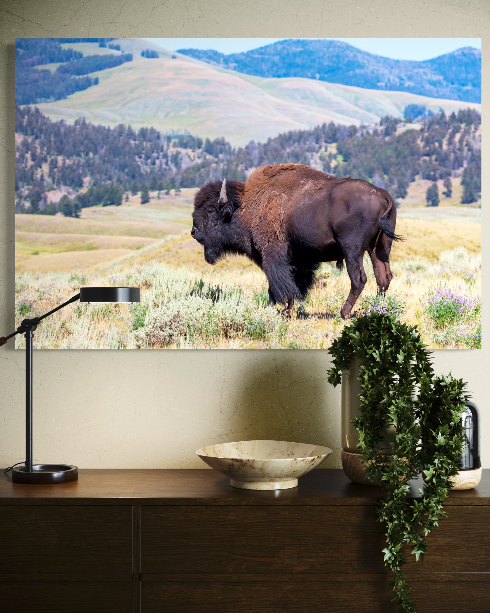 WANDER AND ROAM – Cat Pentescu Photography