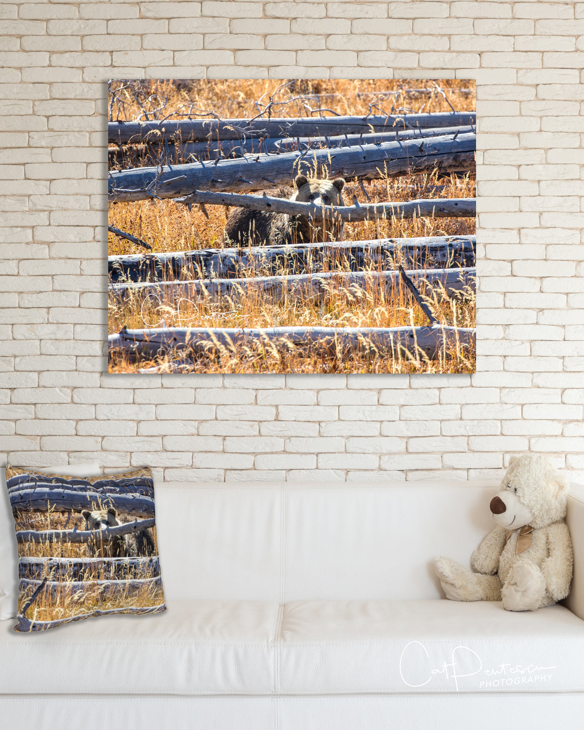 LOGGER – Cat Pentescu Photography